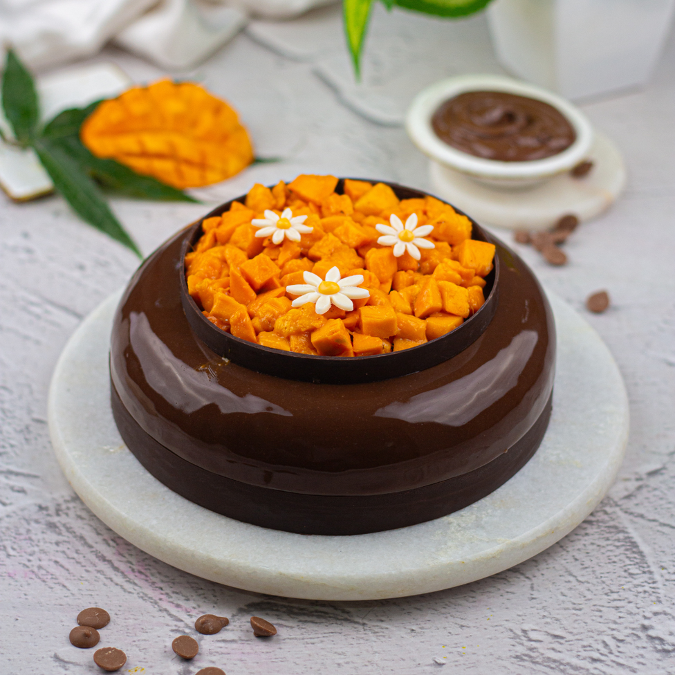 Entremet Cakes – Daffodils Patisserie