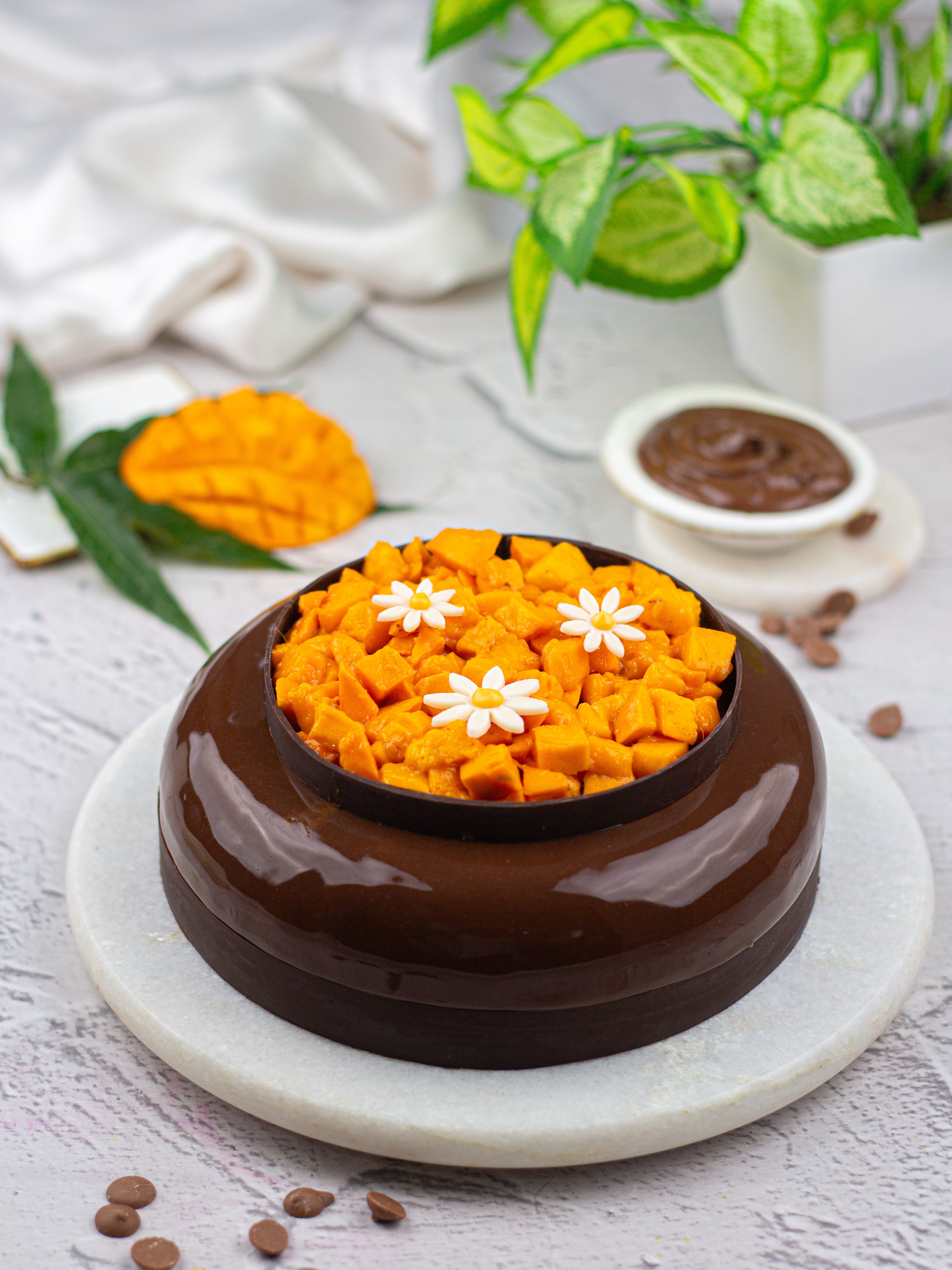 Entremet Cakes – Daffodils Patisserie